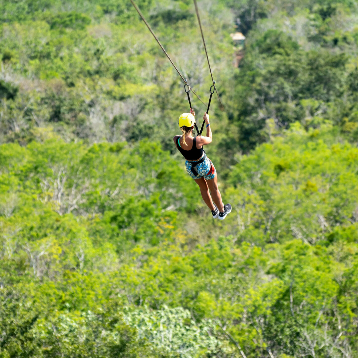 Half day Jungle ATV Adventure Tour - Tulum Riviera Maya Tours