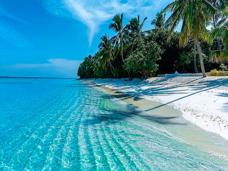 Isla Contoy and Isla Mujeres adventure / Full Day excursion