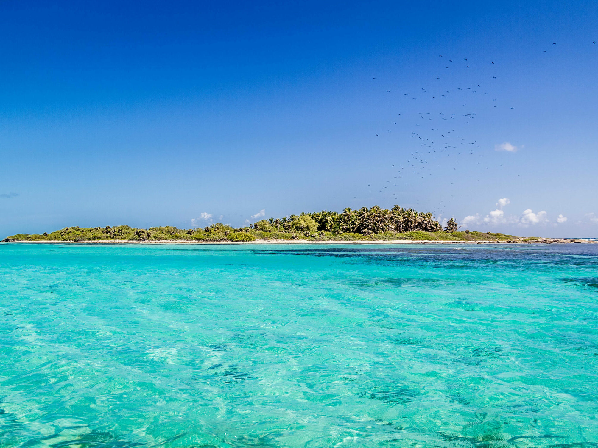 Isla Contoy and Isla Mujeres adventure / Full Day excursion