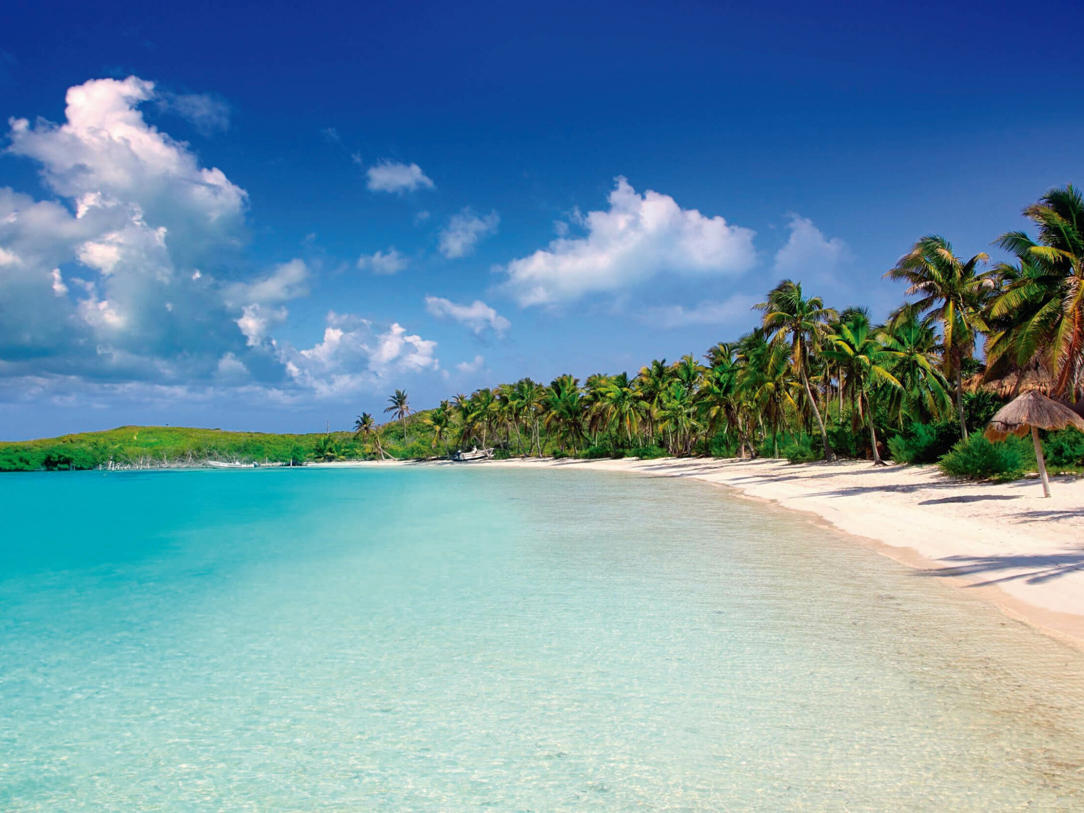 Isla Contoy and Isla Mujeres adventure / Full Day excursion