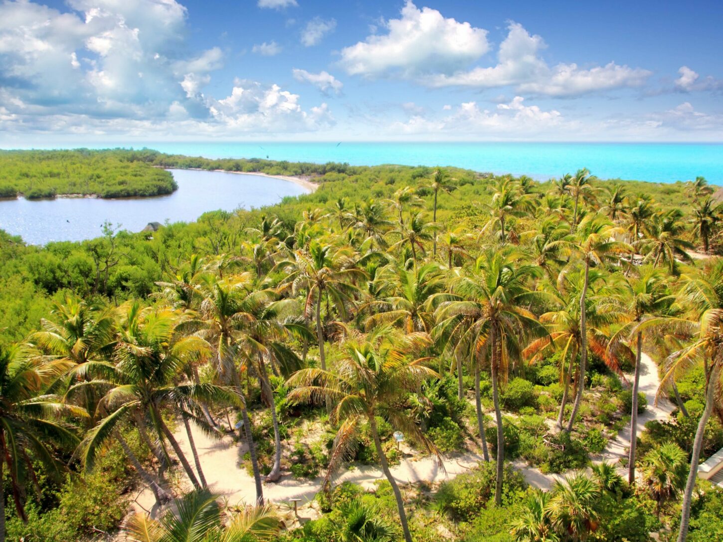 Isla Contoy and Isla Mujeres adventure / Full Day excursion