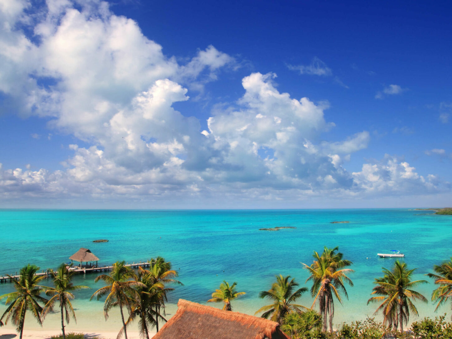 Isla Contoy and Isla Mujeres adventure / Full Day excursion